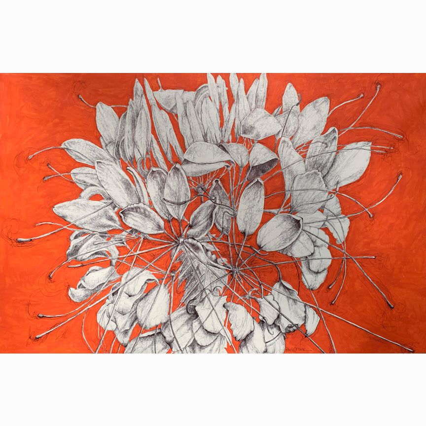 Drawings – Patricia O'Brien